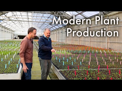 Tour of an Amazing Tissue Culture Plant Nursery