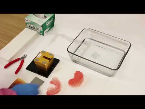 DENTCA 3D Printable Dentures Step 3 - Initial Process & Post Curing