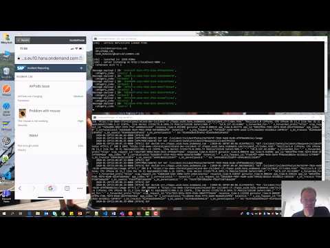 SCP Application Programming Meets Enterprise Messaging