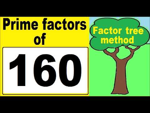 Prime factors of 160. Prime factor decomposition of 160. Factor tree method.