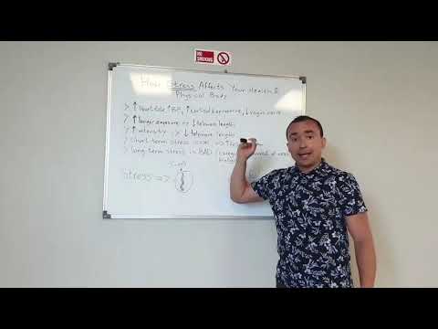 Effects Stress Has On The Body - Stress Video 1