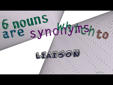 liaison - 6 nouns having the meaning of liaison (sentence examples)