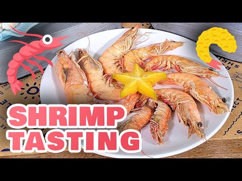 🍤 Dive Into The Delectable World Of Shrimp: Exploring 5 Exquisite Varieties With Wild Ocean