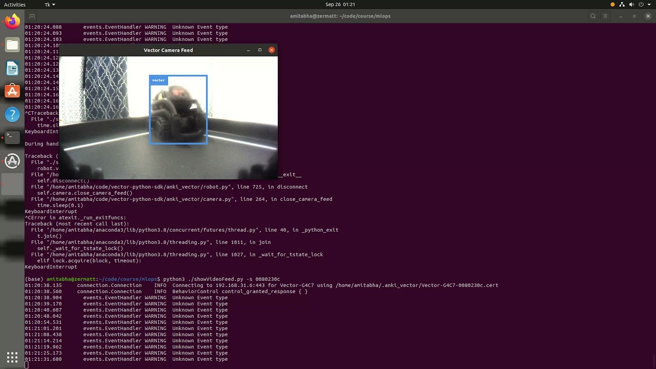 Vector recognizing Vector