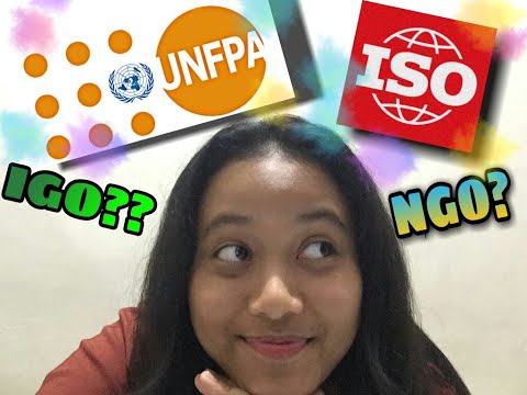 What's the example of NGO & IGO???