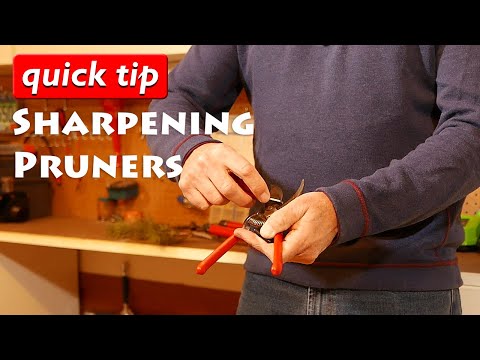 How to Sharpen Pruning Tools for Effortless Pruning