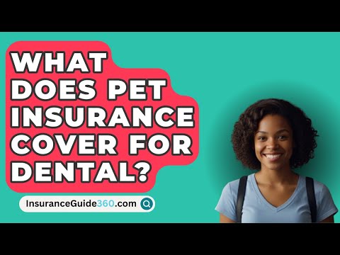 What Does Pet Insurance Cover For Dental? - InsuranceGuide360.com