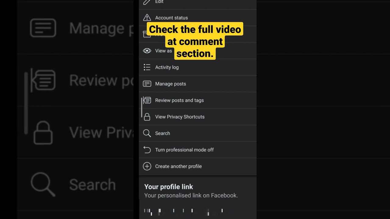 Facebook Professional Mode Not Showing 2025