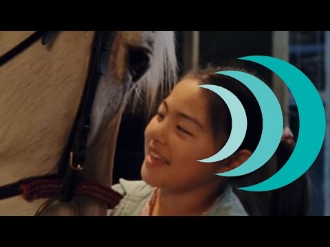 Waar is het Paard van Sinterklaas • Officiele Trailer