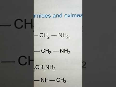 Primary Amines Basic Organic Chemistry Reaction। NEET 2022