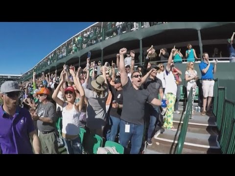 TPC Scottsdale No. 16 Highlights from Round 3 of 2016 WMPO