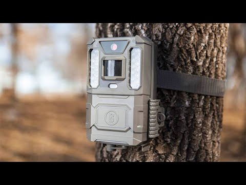 The Best Trail Cameras of 2023