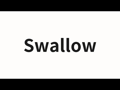 How to pronounce Swallow | Swallow (swallow in Chinese)