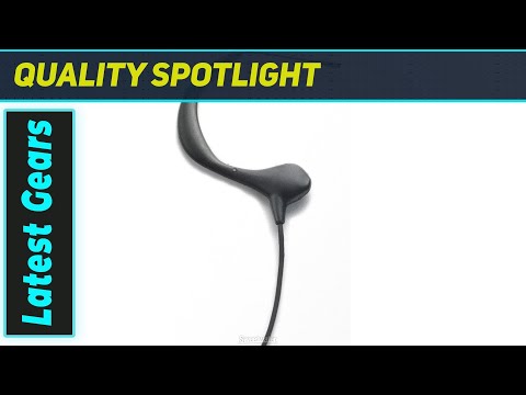 Audio-Technica Microearset: Crystal Clear Audio for Video & Speech