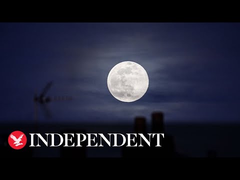 Moon phase test: What is the latest viral TikTok trend and how does it work?