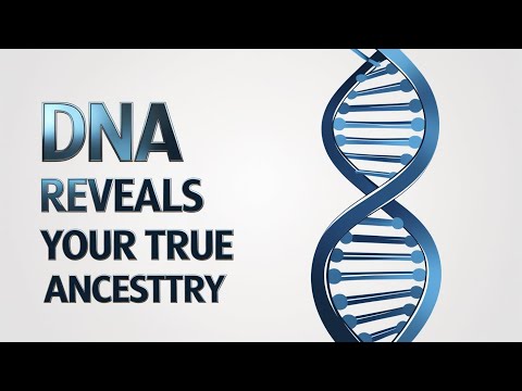 How DNA Uncovers Ancestry: Exploring Lineage, Migration, and Hidden Genetic Connections