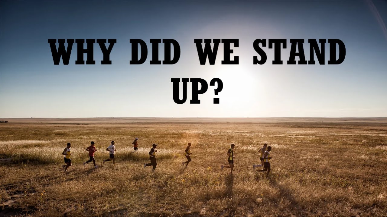 The Evolution of Bipedalism: Why Humans Walk on Two Legs | Galaxy.ai