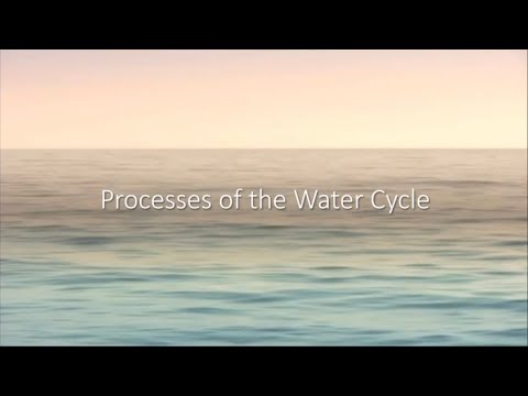 Processes of the Water Cycle (A-Level Geography)