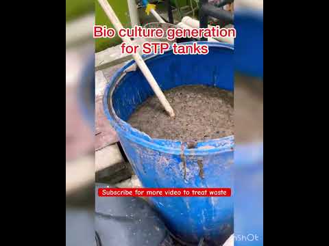 MBBR process to develop bio culture. #stp #biology #biochemistry #wastemanagement #sewagetreatment
