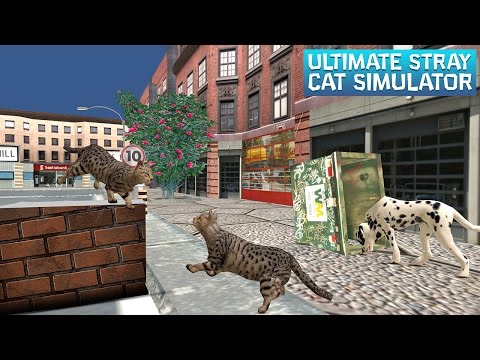 Ultimate Stray Cat Simulator