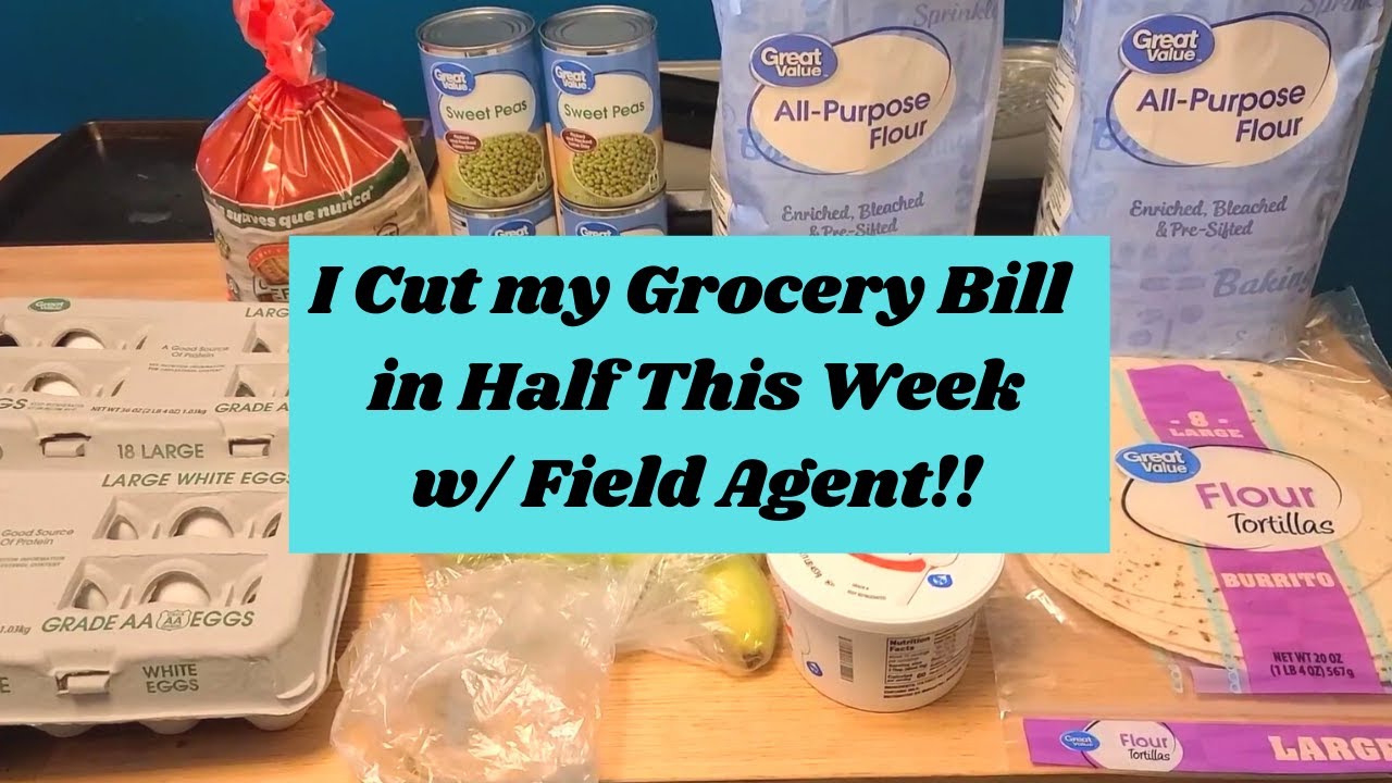 I Cut My Grocery Bill in Half!! @Walmart with Field Agent