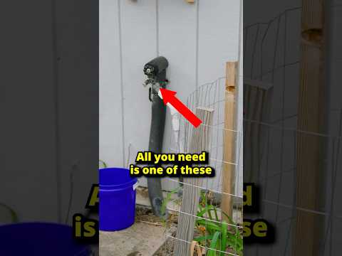 How to Easily Install a Drip Irrigation System for Raised Beds