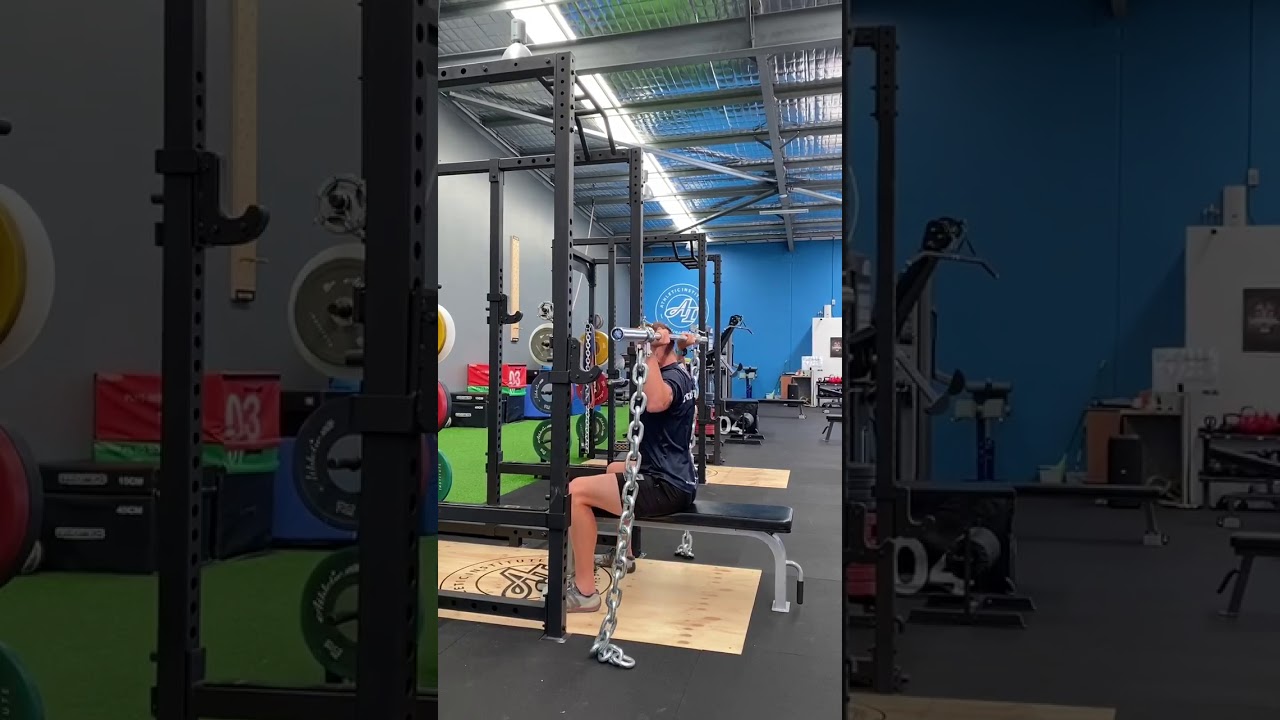 Seated Behind Neck Press (Chains)