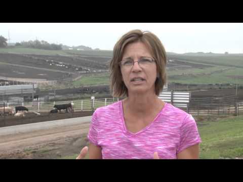 Beef Nutrition Research