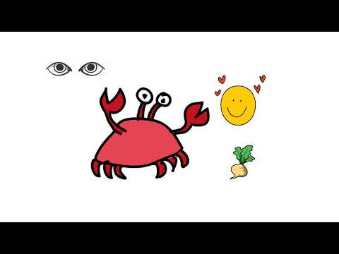 What is the difference between Marine Biology and OceanSciences?