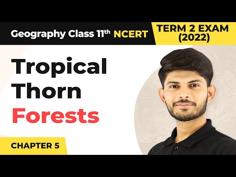 Class 11 Geography Chapter 5 | Tropical Thorn Forests - Natural Vegetation