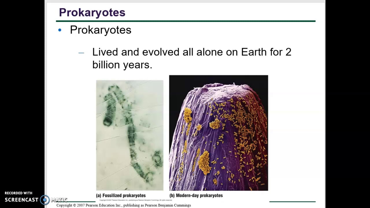 Chapter15 part 1 Microbial Evolution