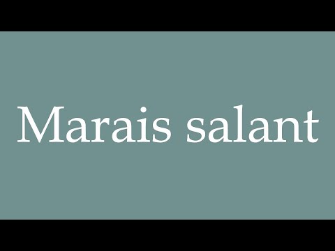 How to Pronounce ''Marais salant'' (Salt marsh) Correctly in French