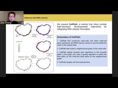 Inference of multiple trajectories in single... - Ziqi Zhang - RSG - RECOMB/RSG DREAM 2020 Posters