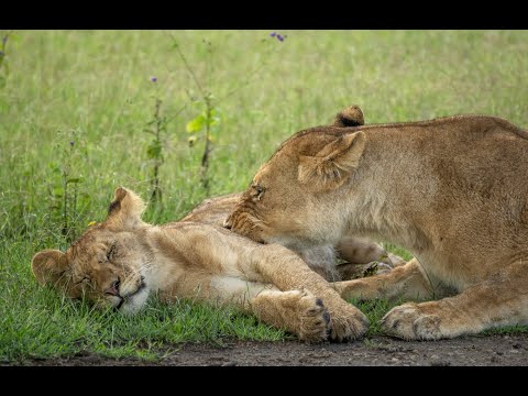 AFRICA 2025 - Camera Adventures with Greg Johnson