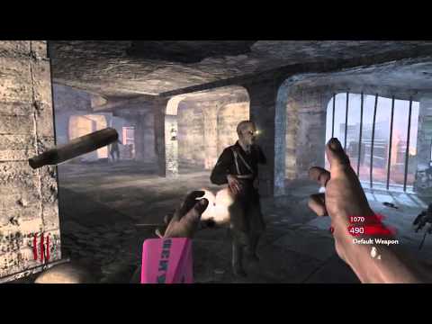 Call of Duty World at War MODS!!!