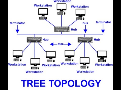 Tree Topology || Advantage and Disadvantage of Tree Topology #computernetwork #treetopology