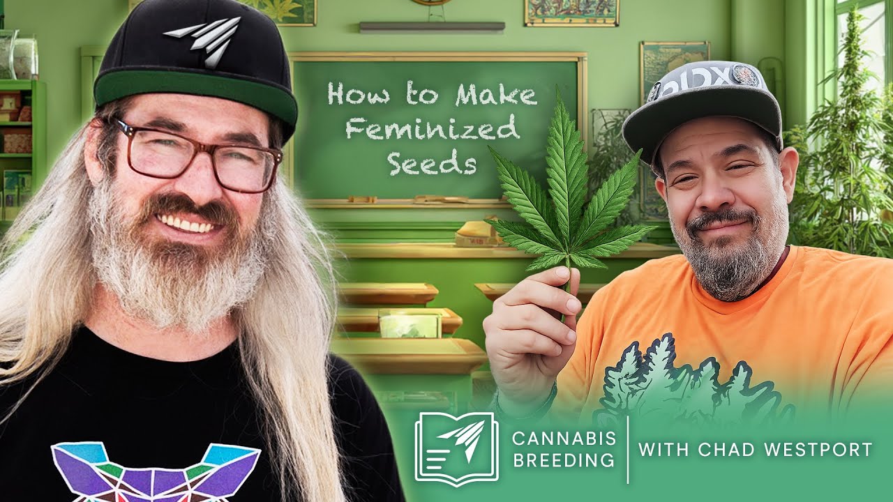 How to Make Feminized Seeds w/Chad Westport & Mr. Toad | Learn with AC Infinity Ep. 4