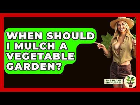 When Should I Mulch A Vegetable Garden? - The Plant Enthusiast