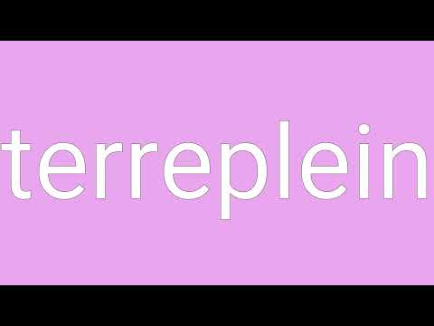 Terreplein Definition & Meaning