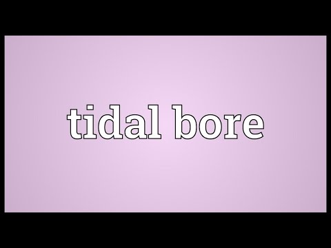 Tidal bore Meaning