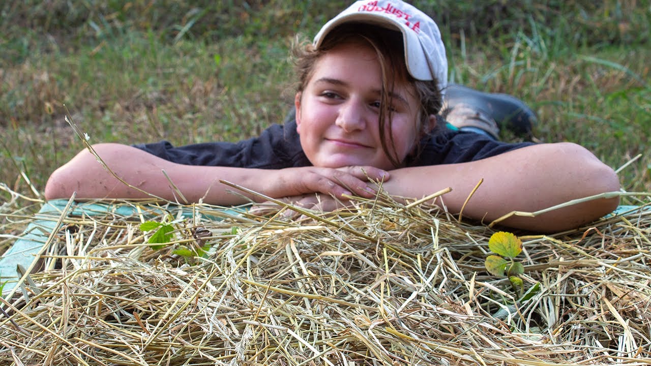 They Finally Arrived| Planting Strawberry Plugs