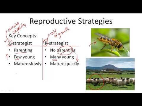 Reproductive Strategies of Organisms
