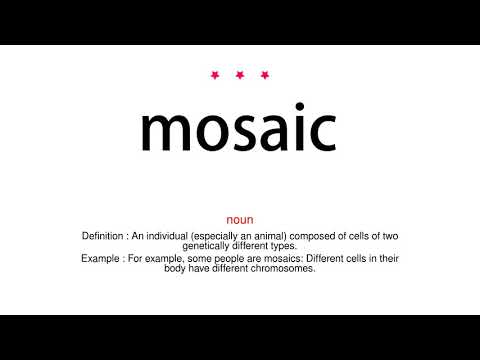 How to pronounce mosaic - Vocab Today