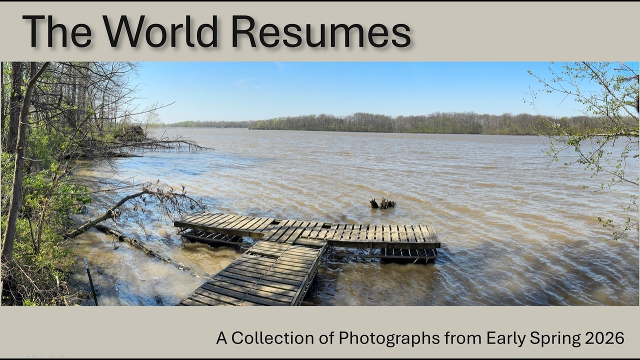 Early Spring — A Photo Essay