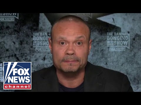 Dan Bongino blasts NY Times for equating 'freedom' to 'anti-government'