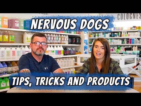 NERVOUS DOGS: Grooming tips, tricks & products | Christies Direct