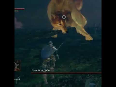 Steam Community :: Video :: Great Bonk Shibe in Dark Souls