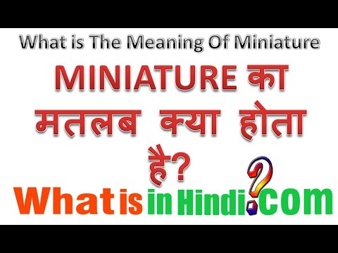 Miniature का मतलब क्या होता है | What is the meaning of Miniature in Hindi | Miniature ka matlab kya