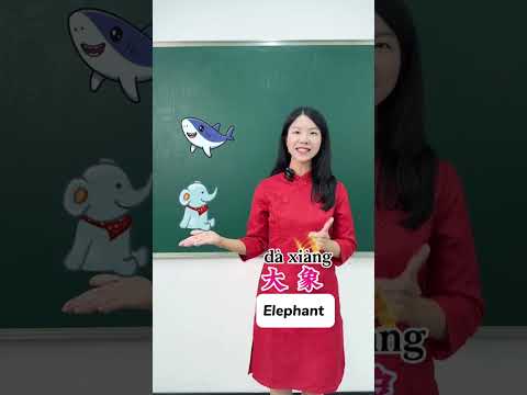 “Shark, Elephant, Tiger” in Chinese #language #chinese #funny #memes