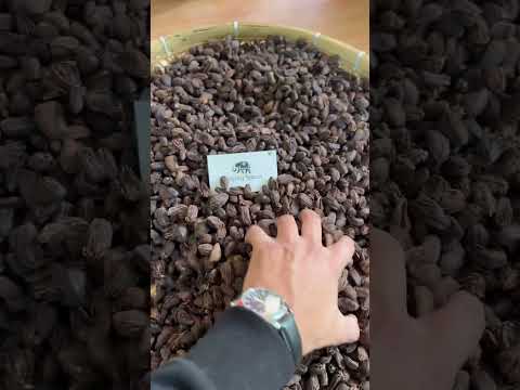 Badi Elaichi - Black Cardamom Latest Price, Manufacturers & Suppliers